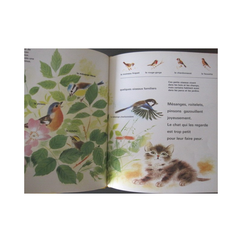 Le petit chat et les amis du jardin - Retro-Livres